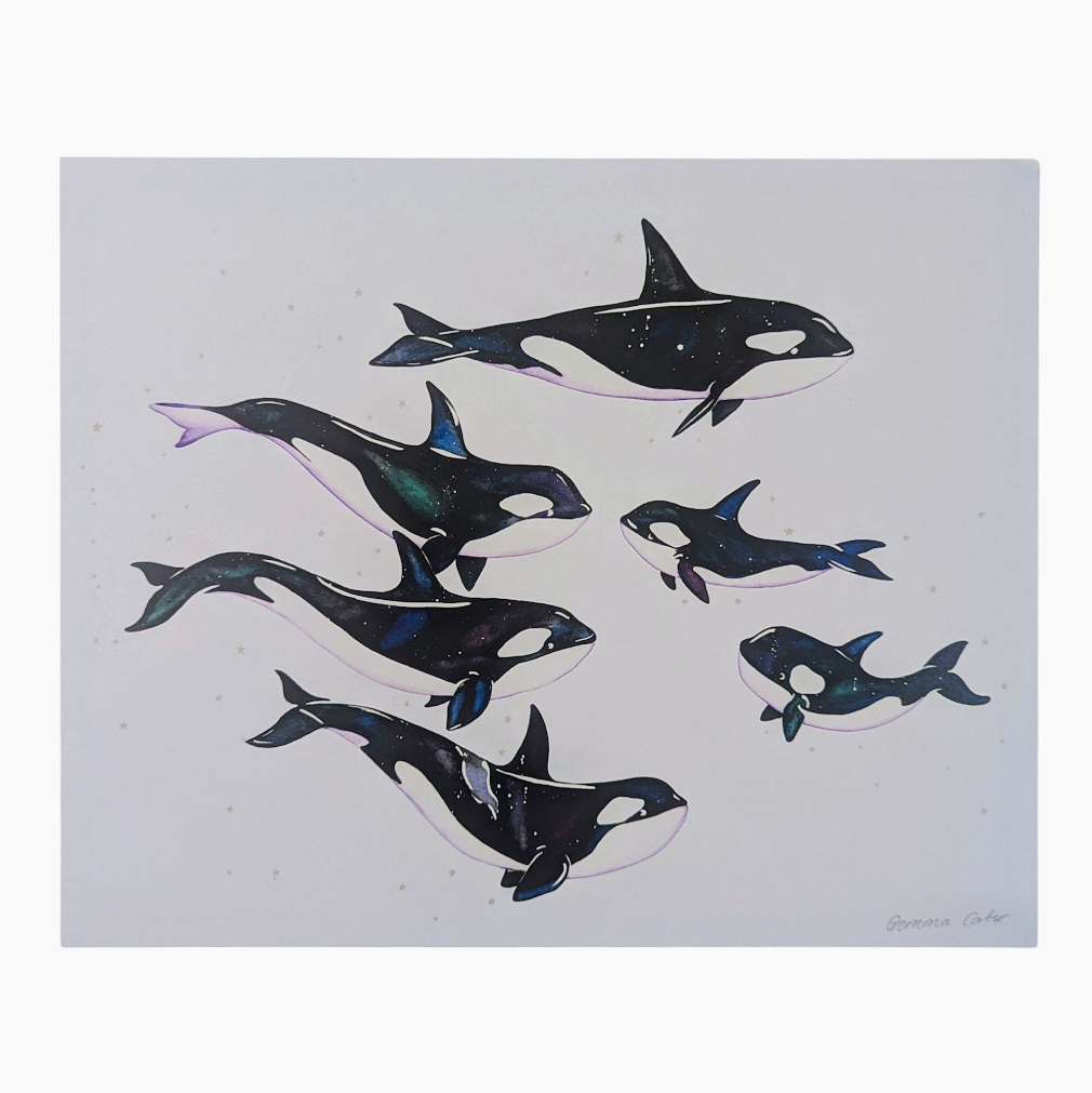 Gemma Carter "Orca Pod" Print | Rockpool Trading